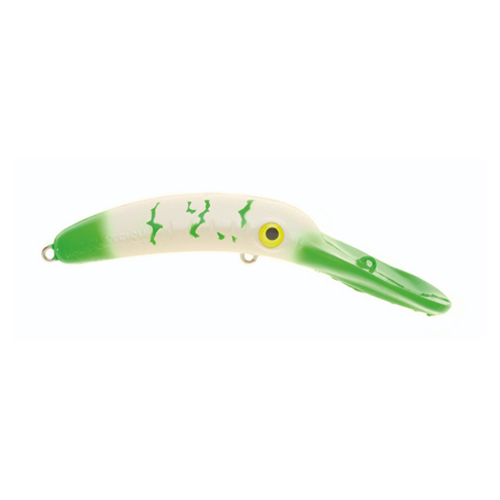 How to make salted minnows for bait – Lake Michigan Angler A