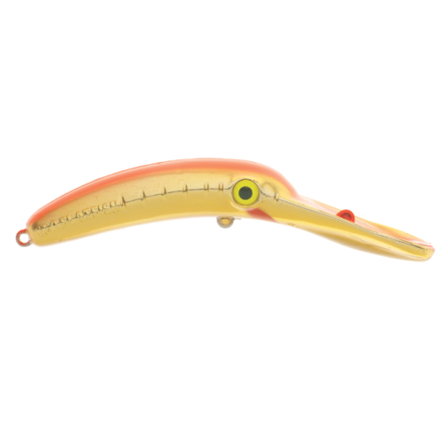 How to make salted minnows for bait – Lake Michigan Angler A