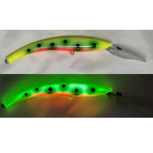 How to make salted minnows for bait – Lake Michigan Angler A