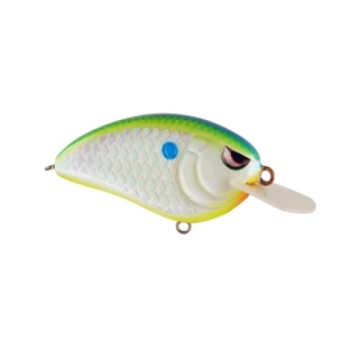 How to make salted minnows for bait – Lake Michigan Angler A