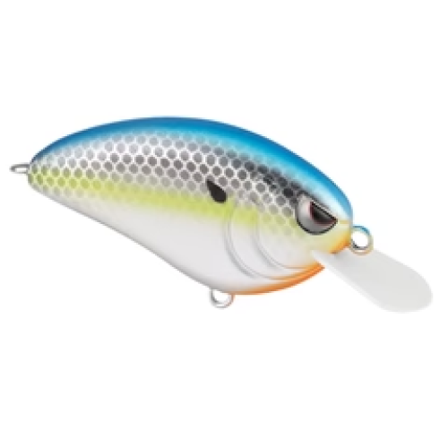 How to make salted minnows for bait – Lake Michigan Angler A