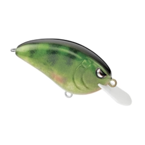 How to make salted minnows for bait – Lake Michigan Angler A